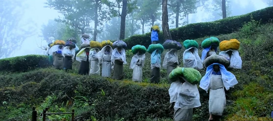 Pa Ranjith releases trailer of documentary on Mancholai killings