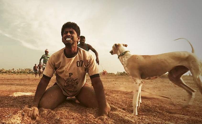 1 Year of Pariyerum Perumal: 15 dialogue sequences from the film that ...