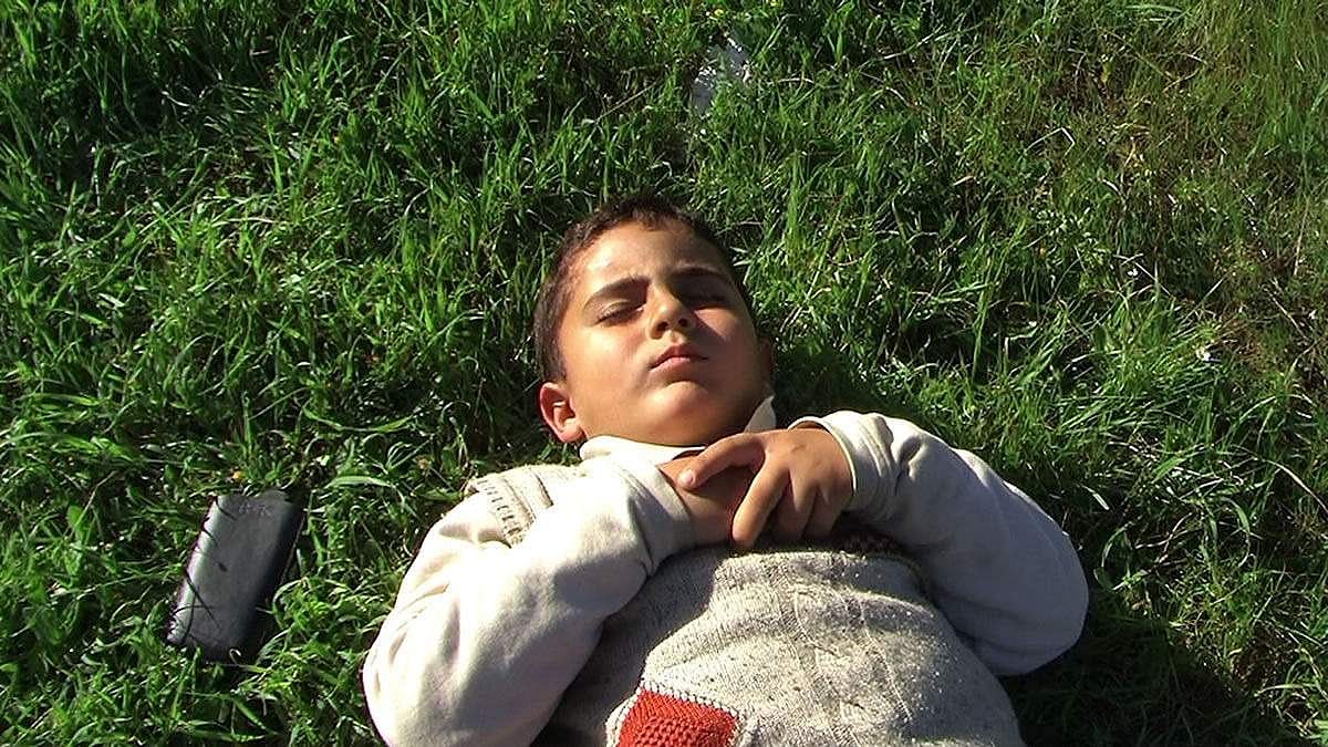 Between Tel Aviv and Ramallah: United Colours of Cinemas of Palestine ...