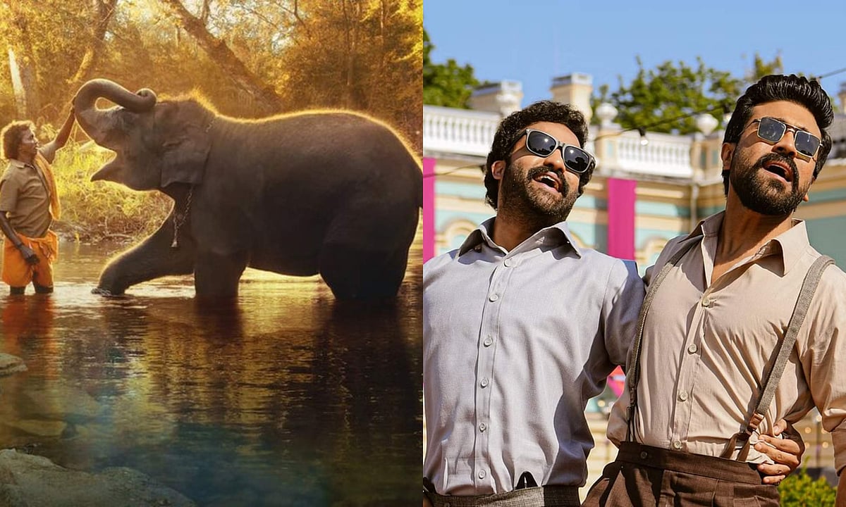 Oscars 2023: MK Stalin wishes The Elephant Whisperers and Naatu Naatu ...